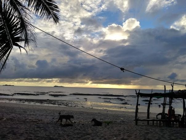 Kihim Beach, Alibaug - Things to Do, Timings & Photos