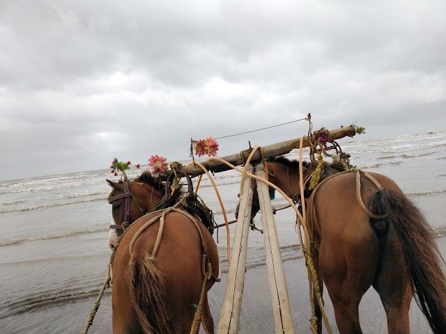 Nagaon Beach, Alibaug - Things to Do, Timings & Photos