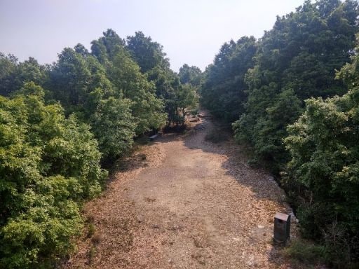 Trek to Zero Point | Almora - What to Expect | Timings | Tips - Trip ...