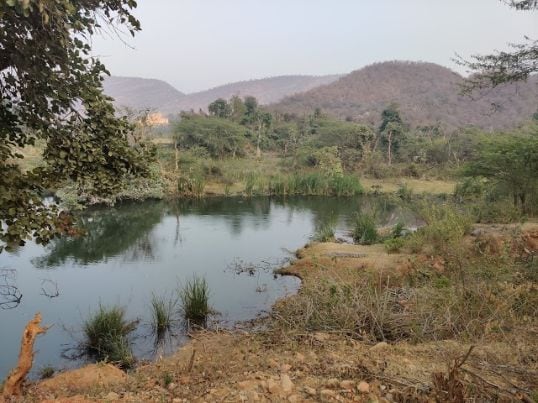 Siliserh Lake | Alwar - What to Expect | Timings | Tips - Trip Ideas by ...