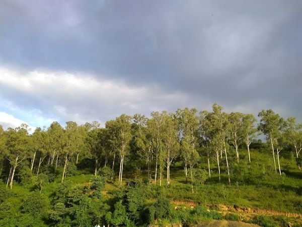 Chaparai Waterfalls | Araku Valley - What to Expect | Timings | Tips ...