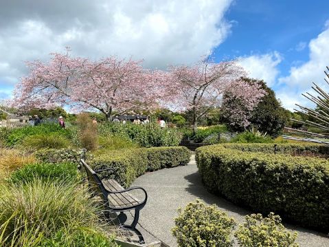 Auckland Botanic Gardens | Auckland - What to Expect | Timings | Tips ...