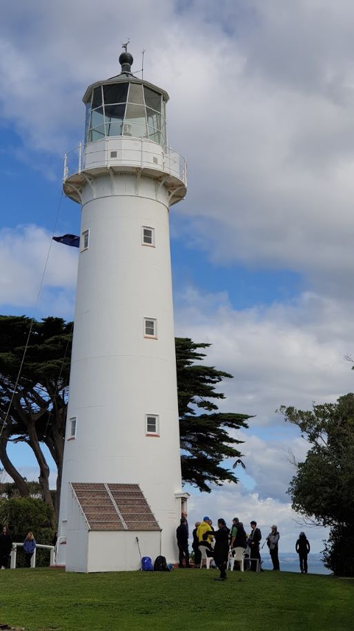Birdwatching at Tiritiri Matangi Island | Auckland - What to Expect ...