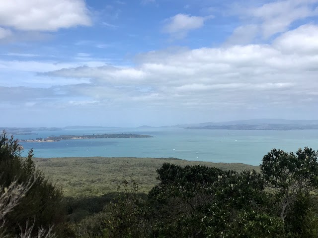 Rangitoto Island Volcanic Explorer Tour | Auckland - What to Expect ...