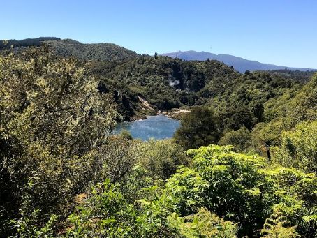 Rangitoto Island Volcanic Explorer Tour | Auckland - What to Expect ...