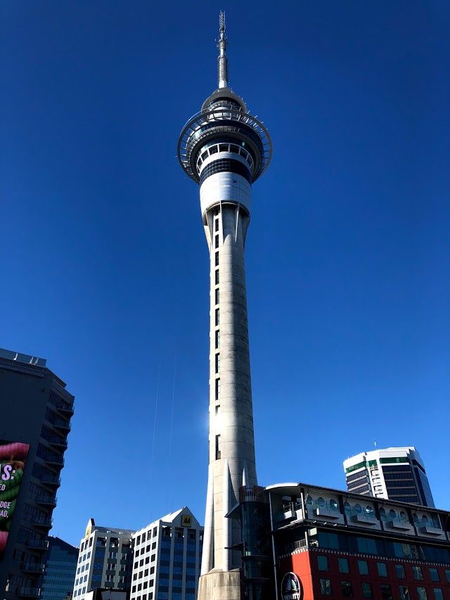 Sky Tower | Auckland - What to Expect | Timings | Tips - Trip Ideas by ...
