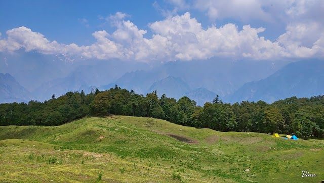 Trek to Gurso Bugyal | Auli - What to Expect | Timings | Tips - Trip ...