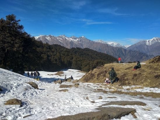 Trek to Gurso Bugyal | Auli - What to Expect | Timings | Tips - Trip ...