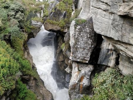 Nanda Devi National Park, Auli - Safari Timing, Ticket Fee & Photos