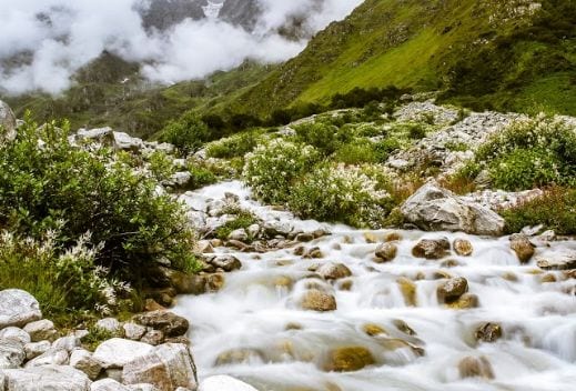 Flowers National Park, Badrinath - Safari Timing, Ticket Fee & Photos