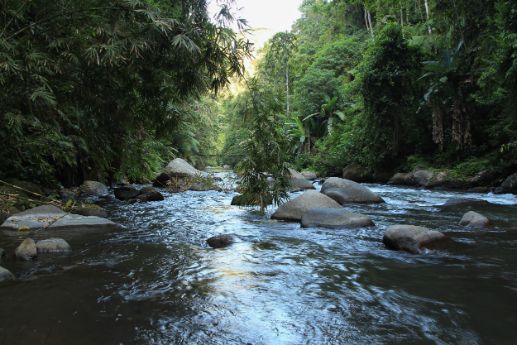 Rafting on Ayung River | Bali - What to Expect | Timings | Tips - Trip ...