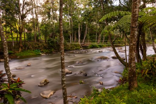 Rafting on Ayung River | Bali - What to Expect | Timings | Tips - Trip ...