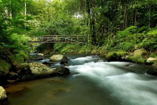Rafting on Ayung River | Bali - What to Expect | Timings | Tips - Trip ...