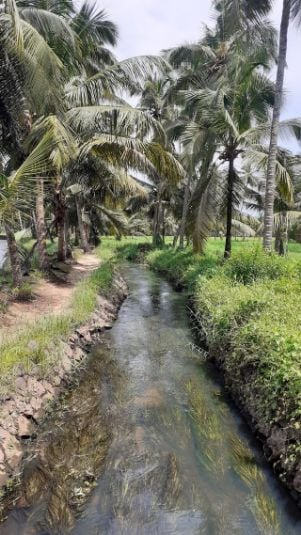 Head to Nileshwaram | Bekal - What to Expect | Timings | Tips - Trip ...