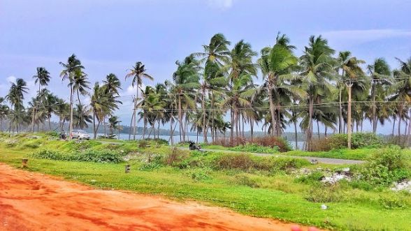 Visit the Kappil Beach, Bekal - Things to Do, Timings & Photos