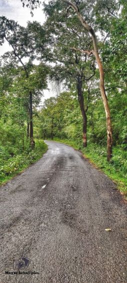 Explore Jamboti Hills | Belgaum - What to Expect | Timings | Tips ...