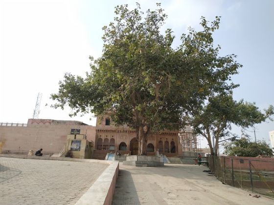 Bankey Bihari Temple, Bharatpur - Timing, History & Photos