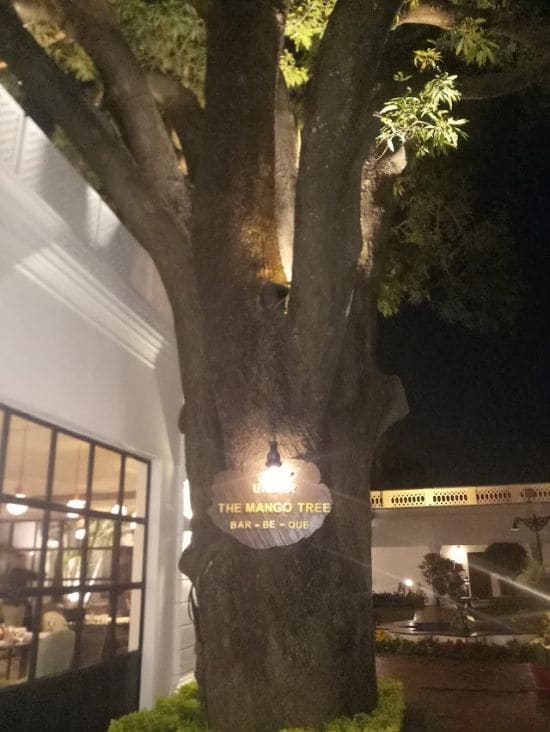 Under The Mango Tree | Bhopal - What to Expect | Timings | Tips - Trip ...