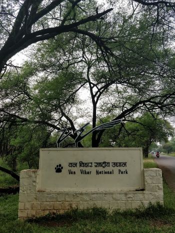 Van Vihar National Park, Bhopal - Safari Timing, Ticket Fee & Photos