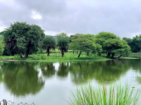 Van Vihar National Park, Bhopal - Safari Timing, Ticket Fee & Photos