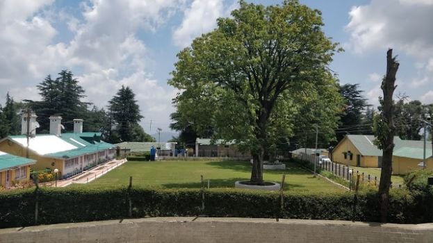 Chail Cricket Ground | Chail - What to Expect | Timings | Tips - Trip ...