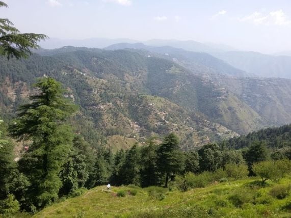 Chail Trek | Chail - What to Expect | Timings | Tips - Trip Ideas by ...