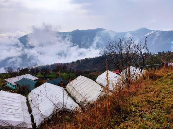 Clouds Camping | Chail - What to Expect | Timings | Tips - Trip Ideas ...