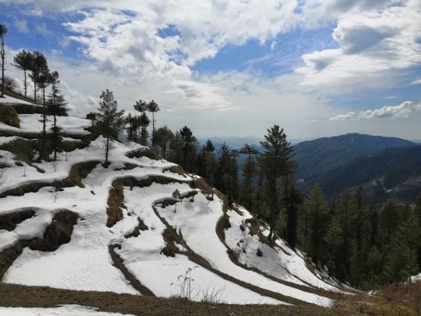 Fagu Near Chail | Chail - What to Expect | Timings | Tips - Trip Ideas ...