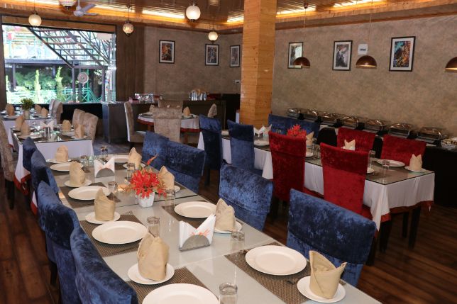 Maple Resorts | Chail - What to Expect | Timings | Tips - Trip Ideas by ...