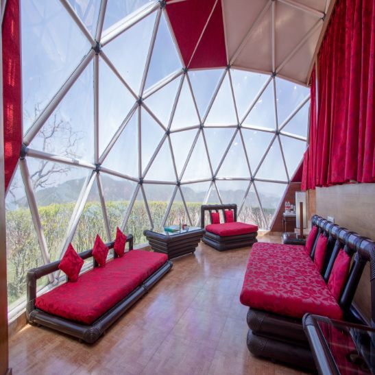 Mint Tarika Resort | Chail - What to Expect | Timings | Tips - Trip ...