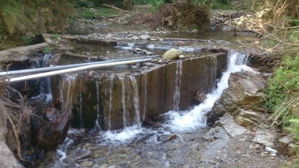 Sadhupul Lake | Chail - What to Expect | Timings | Tips - Trip Ideas by ...