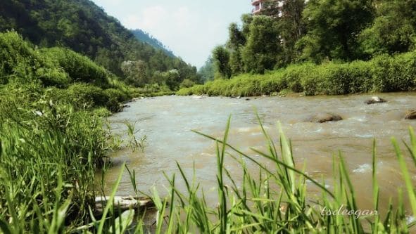 Sadhupul Lake | Chail - What to Expect | Timings | Tips - Trip Ideas by ...
