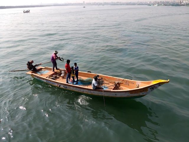 Royapuram Fishing Harbour | Chennai - What to Expect | Timings | Tips ...
