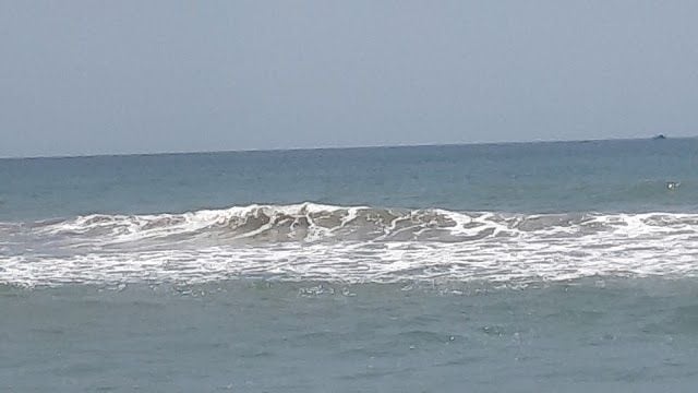 Royapuram Fishing Harbour | Chennai - What to Expect | Timings | Tips ...