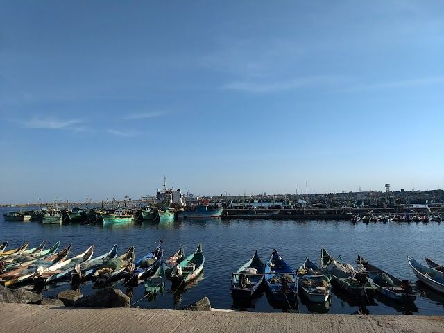 Royapuram Fishing Harbour | Chennai - What to Expect | Timings | Tips ...