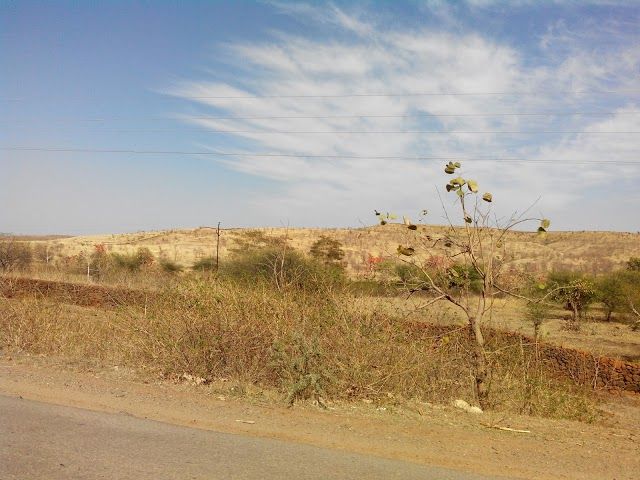 Sita Mata Wildlife Sanctuary | Chittorgarh - What to Expect | Timings ...