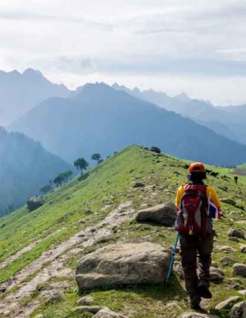 Araku Valley | Best Time to Visit | Top Things to Do | Book Your Trip ...