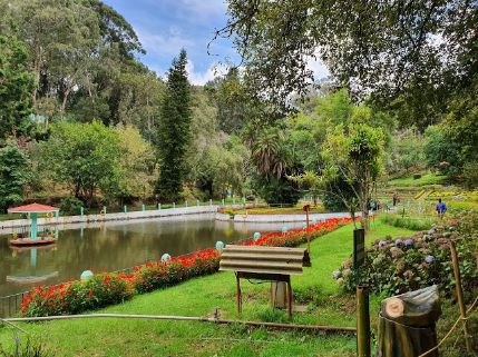 Sims Park | Coonoor - What to Expect | Timings | Tips - Trip Ideas by ...