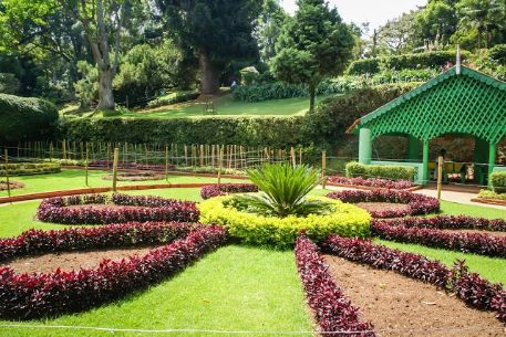 Sims Park | Coonoor - What to Expect | Timings | Tips - Trip Ideas by ...