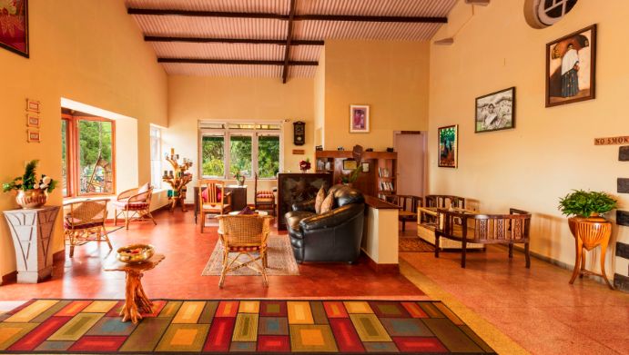Tea Nest | Coonoor - What to Expect | Timings | Tips - Trip Ideas by ...