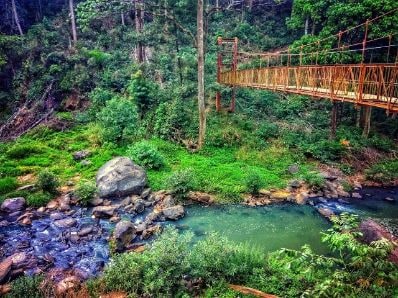 Abbey Falls, Coorg (Madikeri) - Photos, Timings & Entry Fee | MakeMyTrip