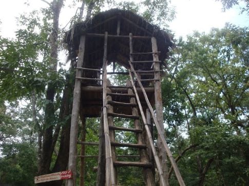 Picnicking on Cauveri Nisargadhama | Coorg - What to Expect | Timings ...