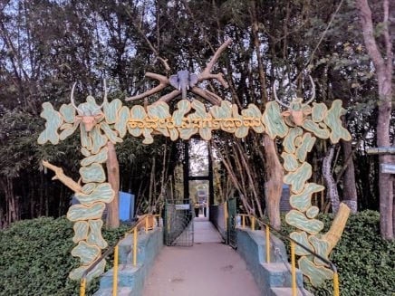 Picnicking on Cauveri Nisargadhama | Coorg - What to Expect | Timings ...