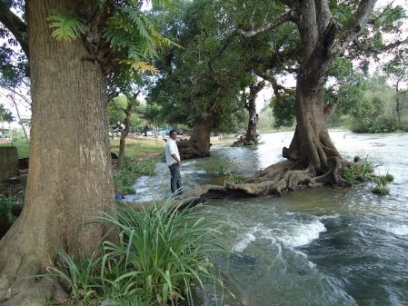 Picnicking on Cauveri Nisargadhama | Coorg - What to Expect | Timings ...