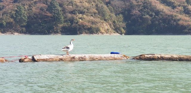 Chamera Lake | Dalhousie - What to Expect | Timings | Tips - Trip Ideas ...