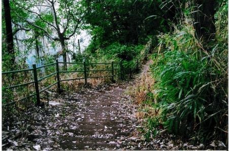 Kavala Caves | Dandeli - What to Expect | Timings | Tips - Trip Ideas ...