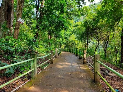 Sathodi Falls | Dandeli - What to Expect | Timings | Tips - Trip Ideas ...