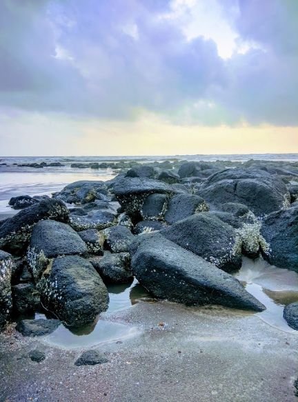 Karde Beach, Dapoli - Things to Do, Timings & Photos