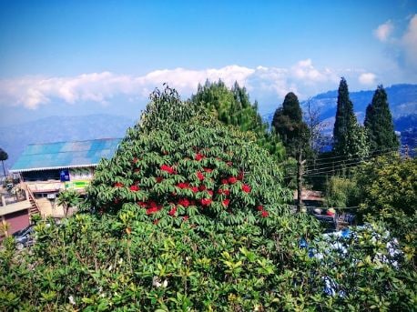 Batasia Loop | Darjeeling - What to Expect | Timings | Tips - Trip ...