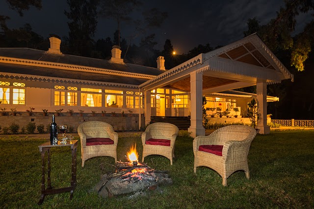 Ging Tea House | Darjeeling - What to Expect | Timings | Tips - Trip ...